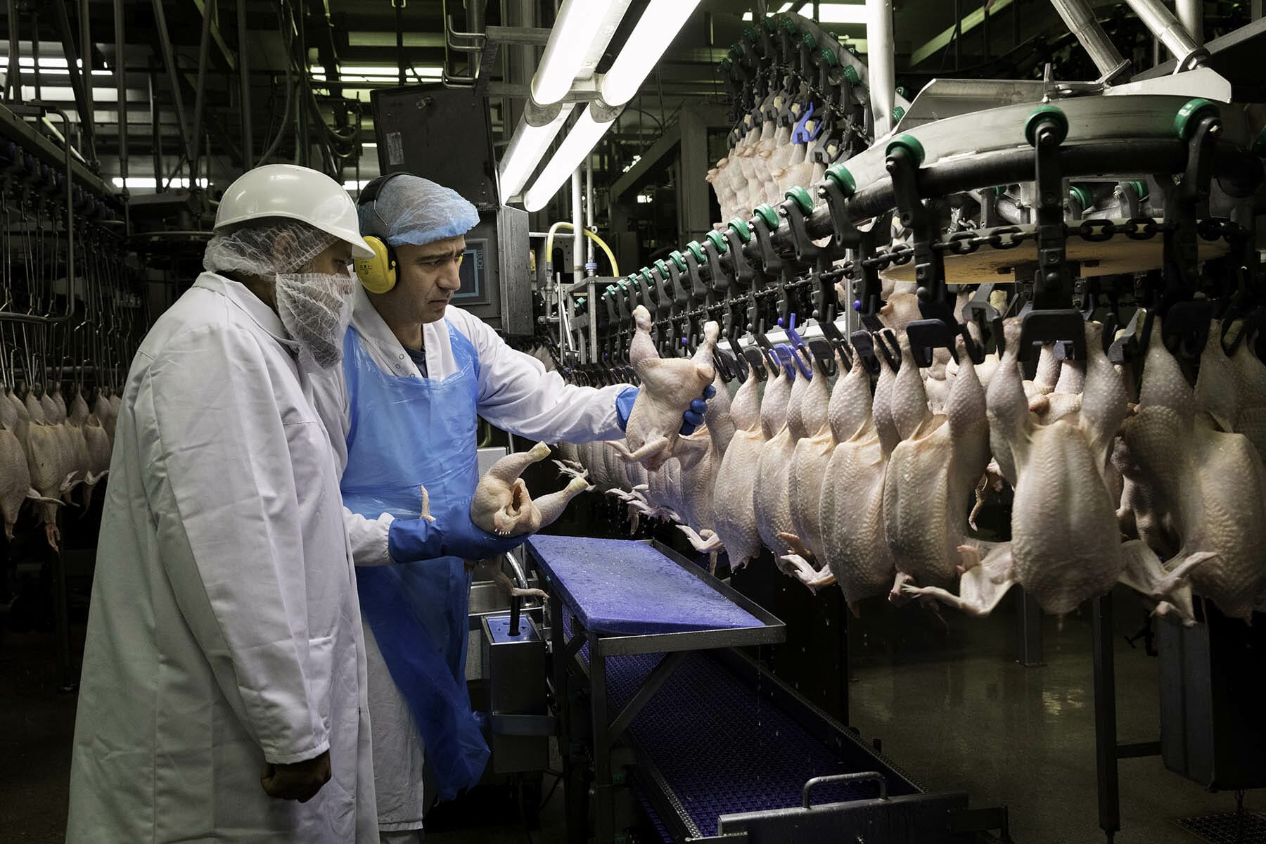 Halal slachten - Inge van Mill